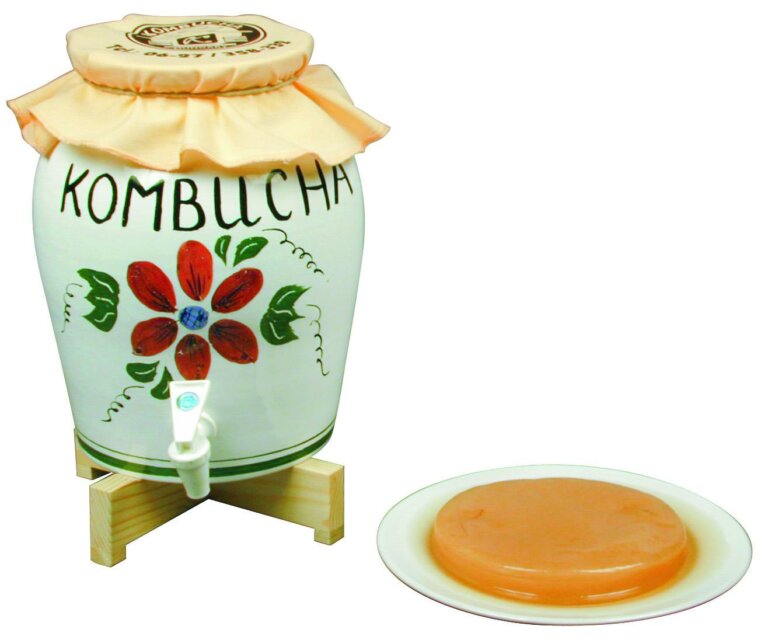 Kombucha gombatenyészet házi felhasználásra - vivanatura.hu