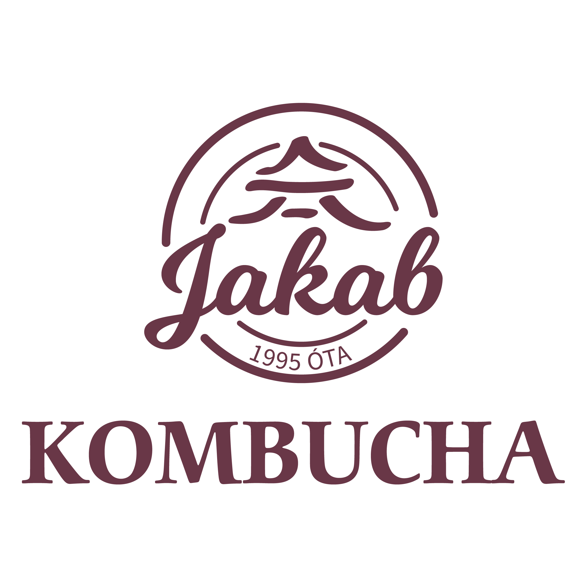 Kombucha Gombateny szet H zi Felhaszn l sra kombucha-gombateny-szet-h-zi-felhaszn-l-sra