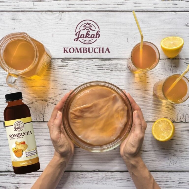 Házi praktikák Kombucha tenyészet és Kombucha tea készítéséhez | Viva ...
